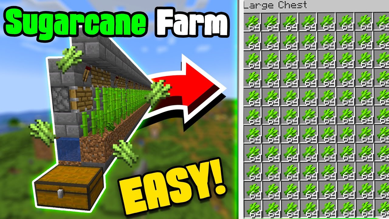 Best Sugar Cane Farm Layout Minecraft Design Talk