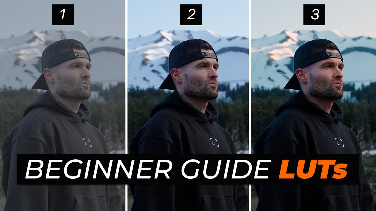 How Yo Use Luts On Your Videos The Beginner Guide Youtube