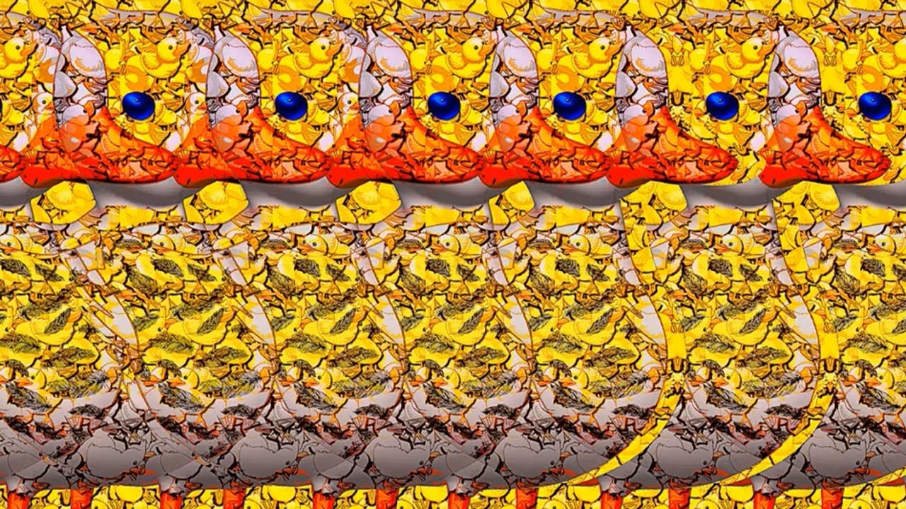 Optical Illusions Pictures 3d Hidden Pictures Cube