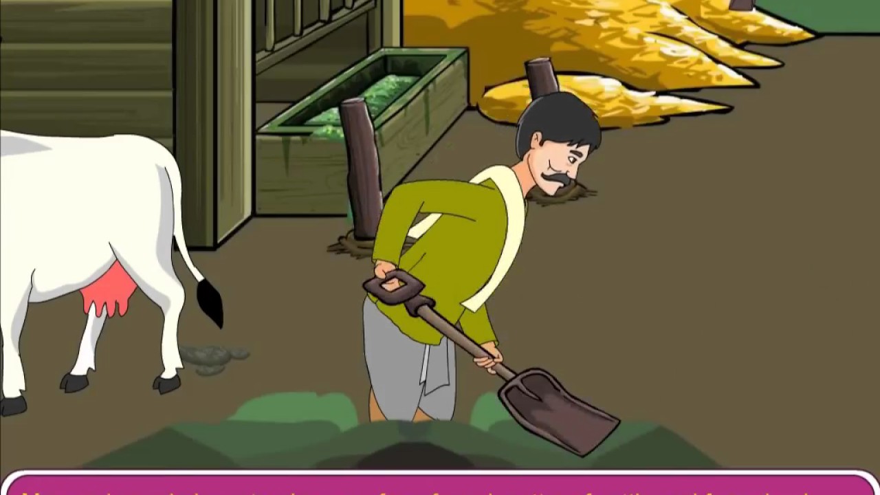 Soil Fertility Youtube