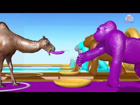 Learn Colors Learn Animal Name And Sound Gorillas With Animals Wild Eat