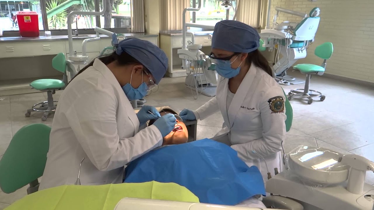Técnica A 4 Manos Odontología Ariana Y Claudia Youtube
