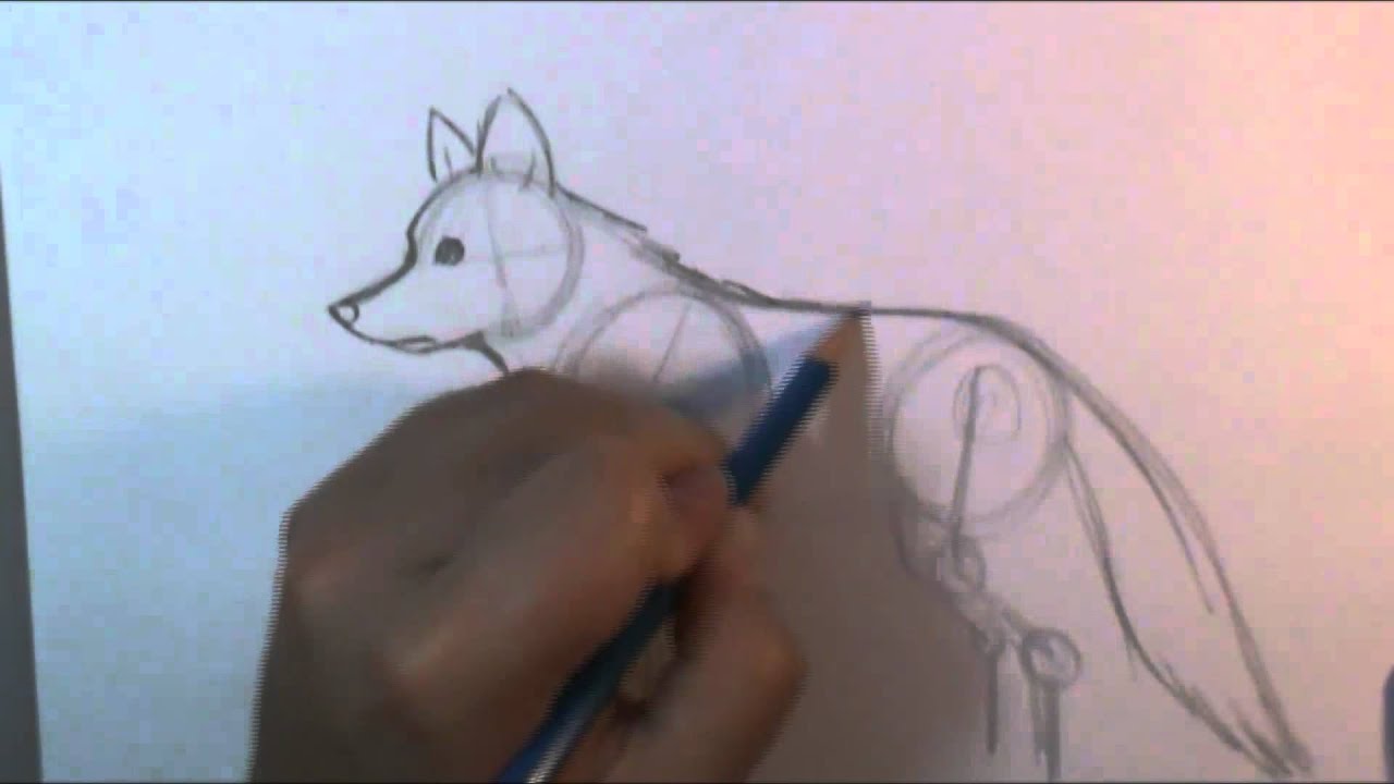How To Draw A Wolf Body How To Draw A Wolf Or Dog By Drewthewolf On
