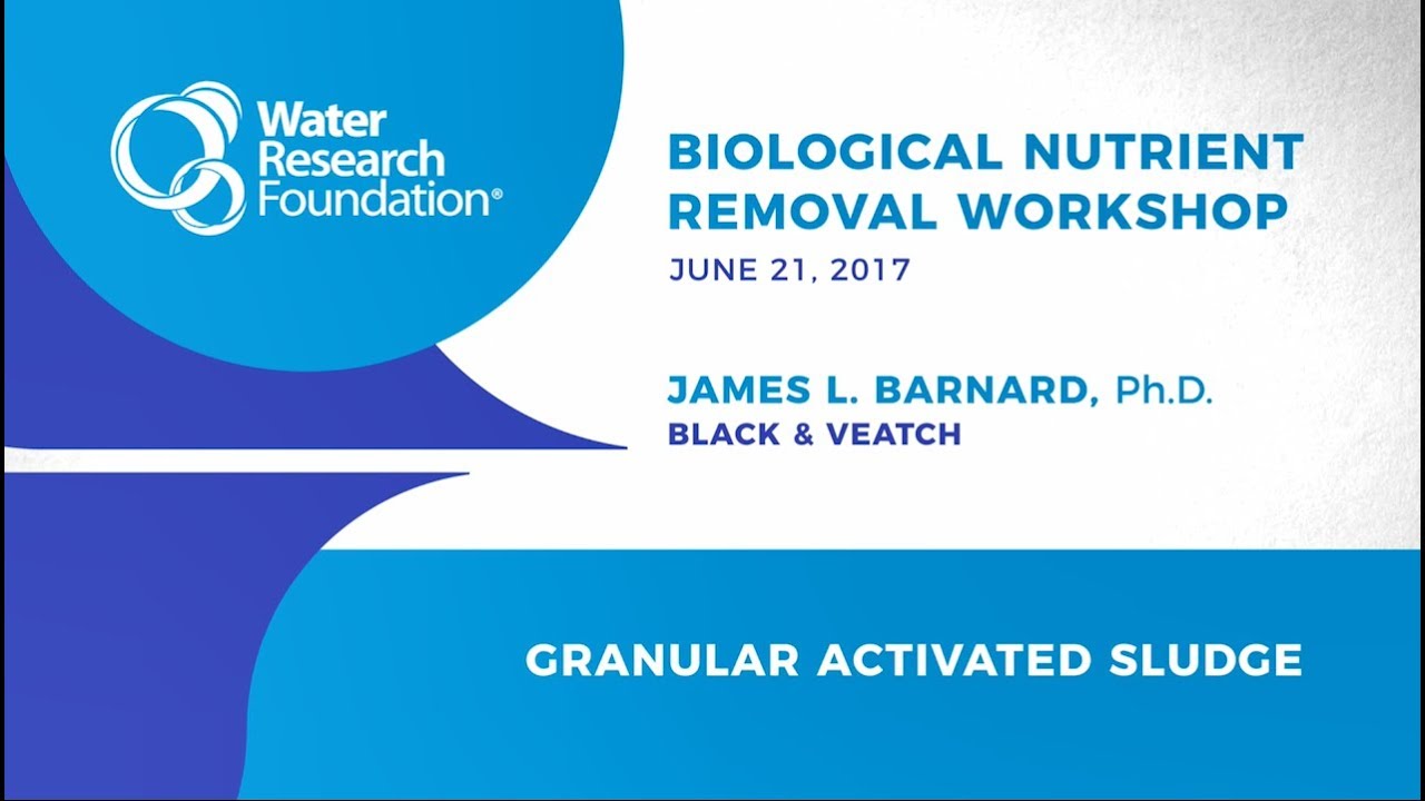 Biological Nutrient Removal Workshop Granular Activated Sludge Youtube