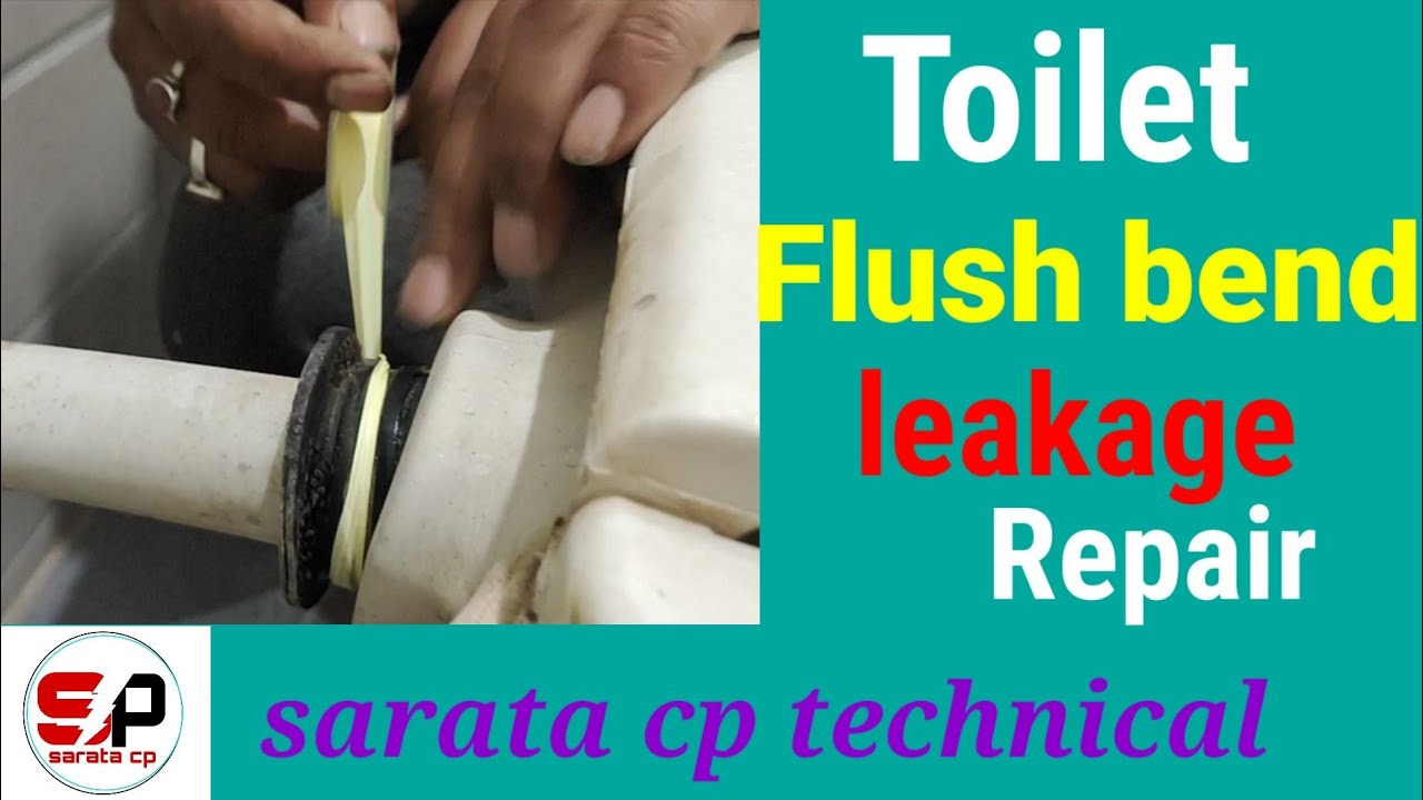 How To Change A Toilet Flush Pipe At Betty Novack Blog