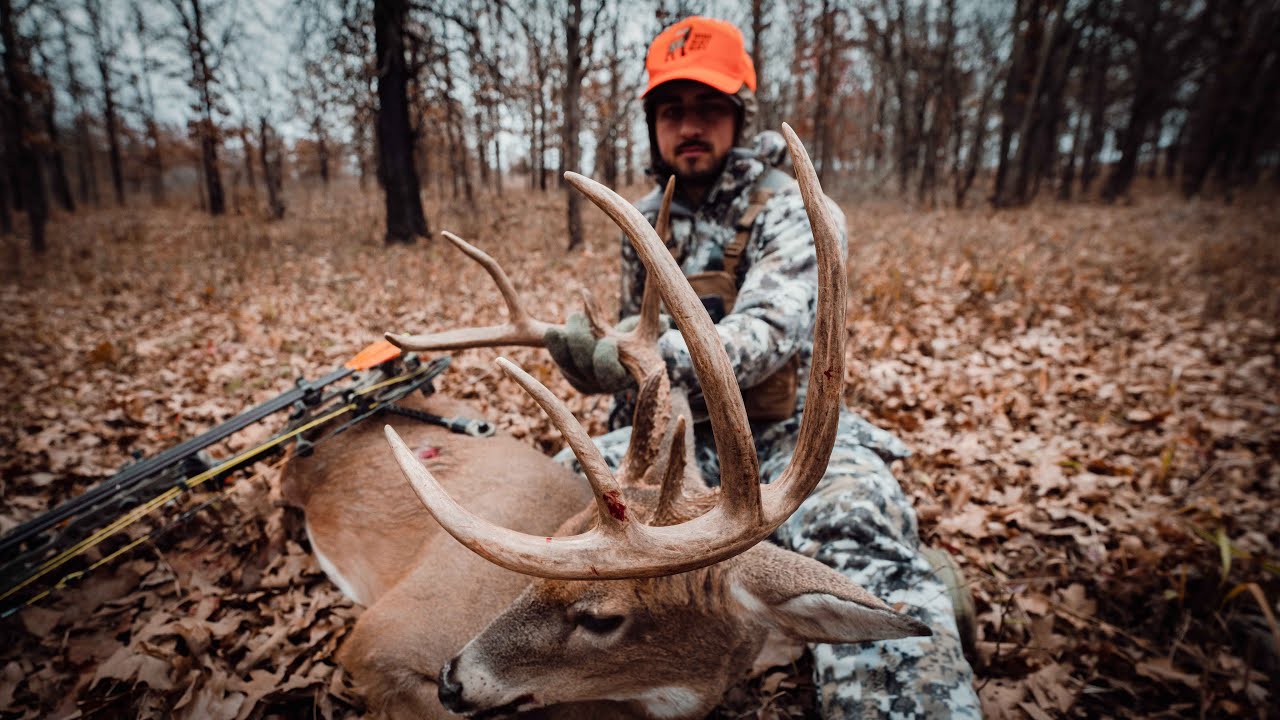 Craziest Deer Hunt Of My Life 5 Deer In 20 Minutes With My Bow Youtube