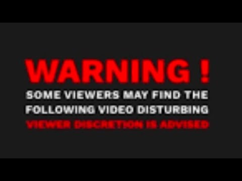 Cops Hunt Down Citizen Youtube