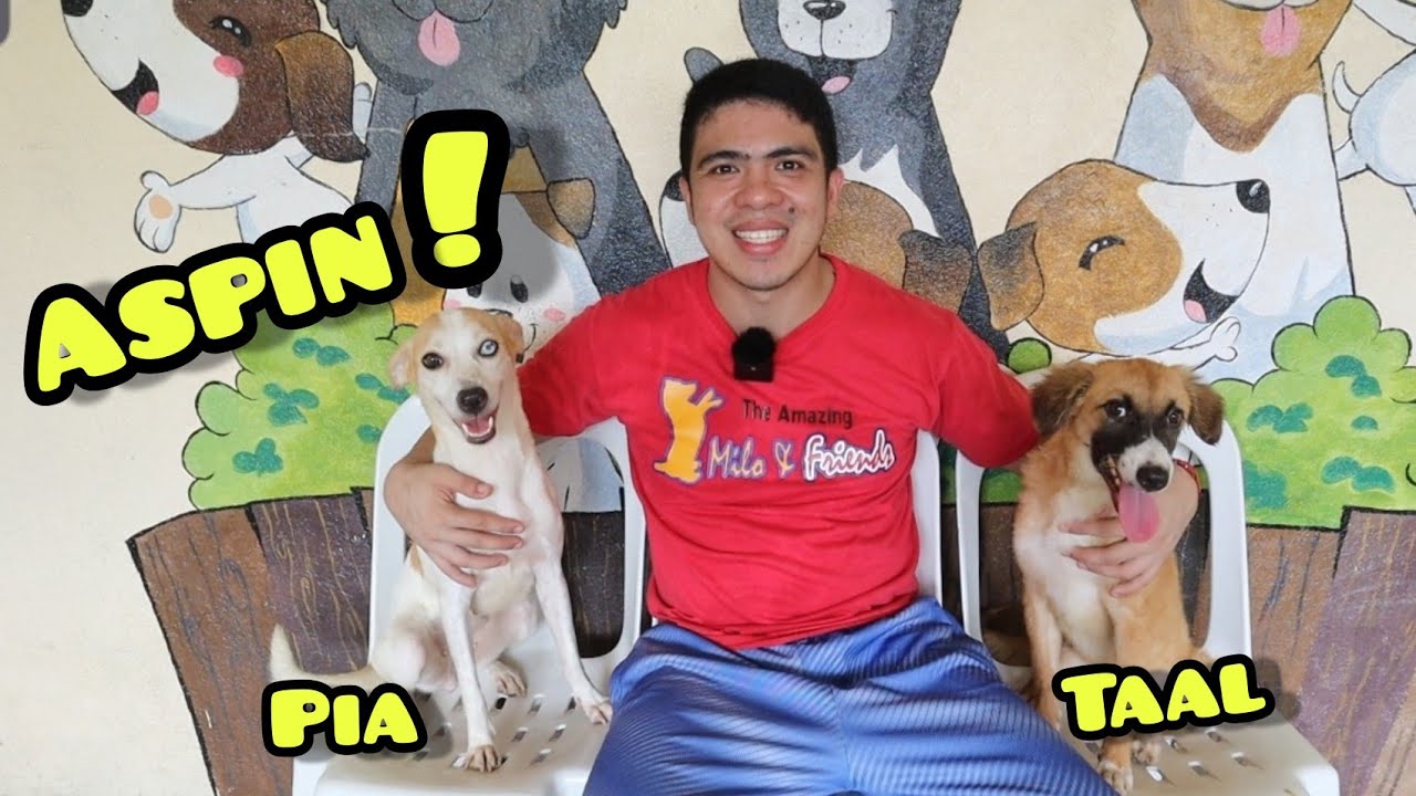Natuturuan Ba Ang Mga Aspin Youtube