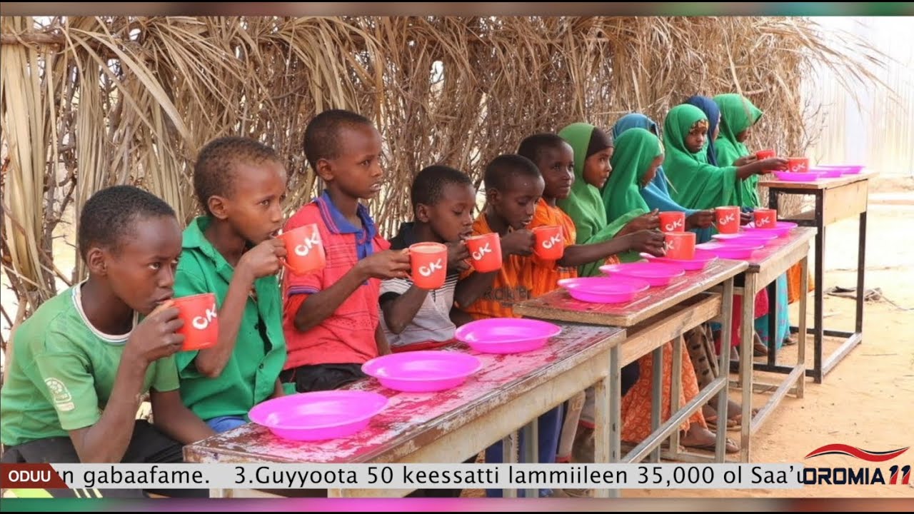 Oromia11 Oduu 8 3 2024 Youtube