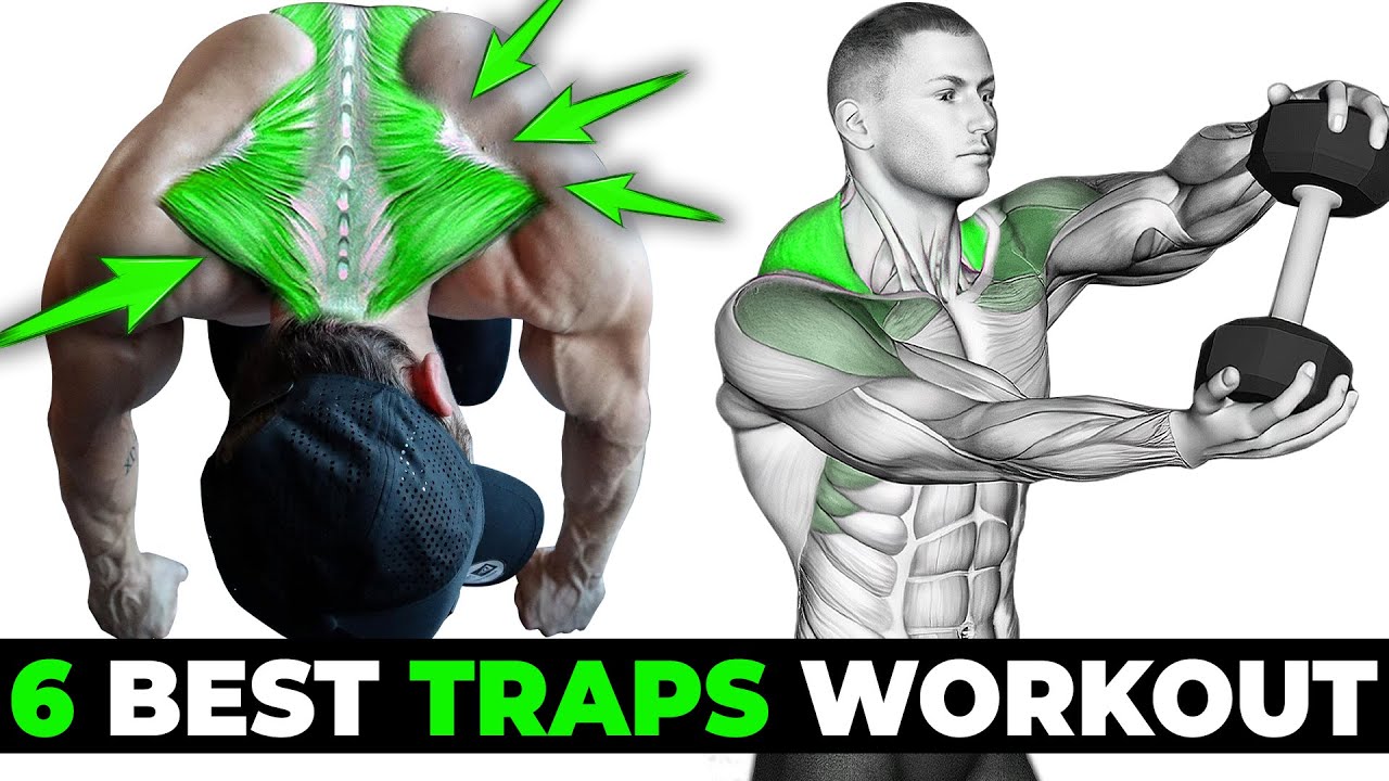 6 Best Exercises For Bigger Traps Effective Workout Youtube