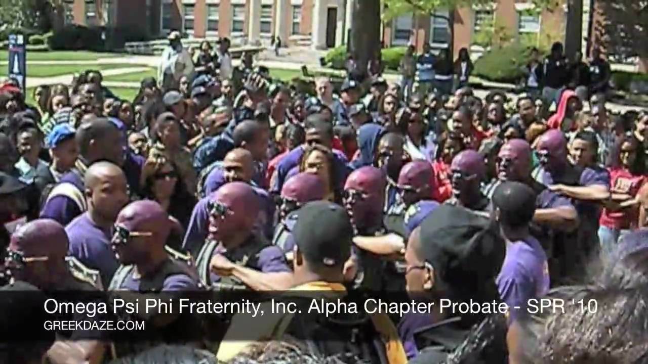 Omega Psi Phi Alpha Chapter Neo Greetings Probate Show Spring