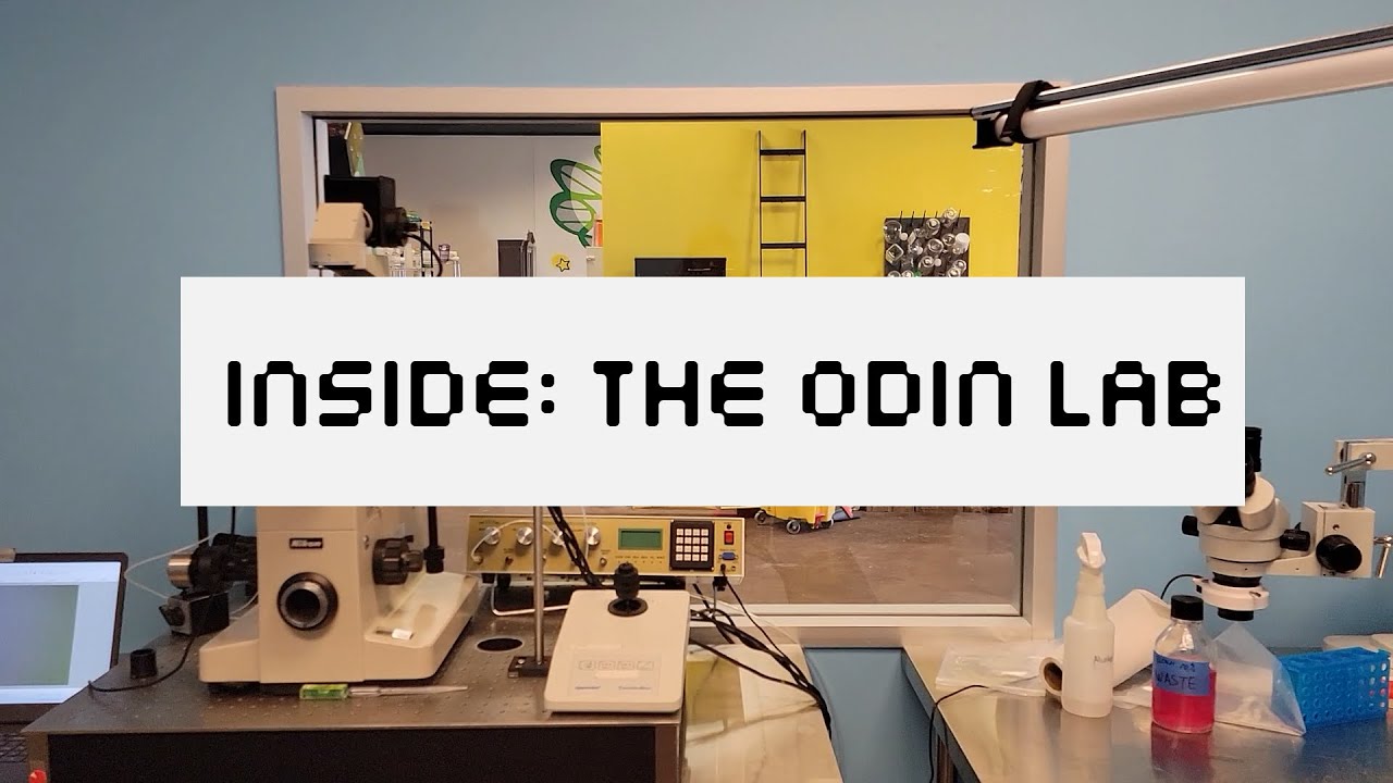 Inside The Odin Biotech Company Lab Youtube