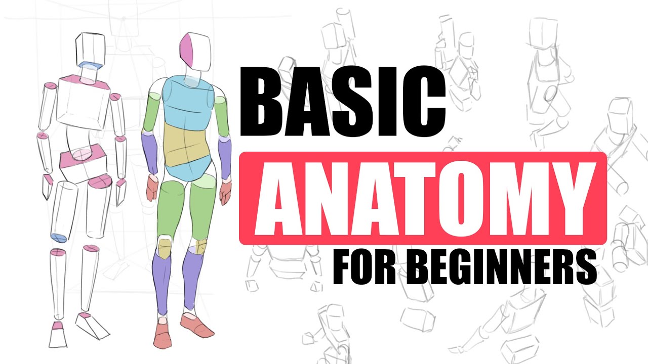 The First Easy Step To Draw Bodies For Beginners Youtube