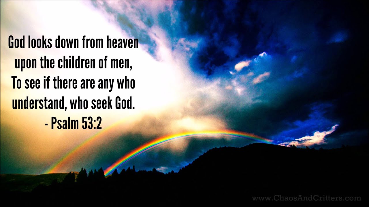 Bible Verse Of The Day Psalm 53 2 Daily Encouragement And