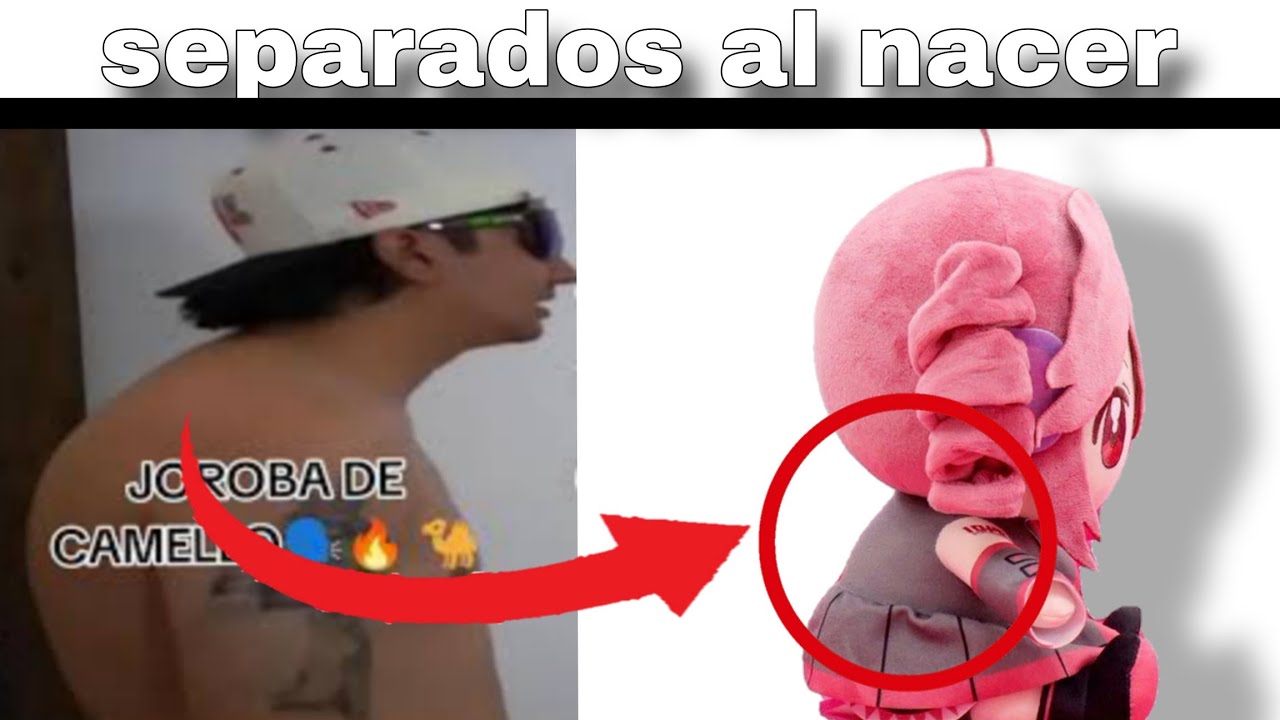 Shitpost Compilation V19 Youtube
