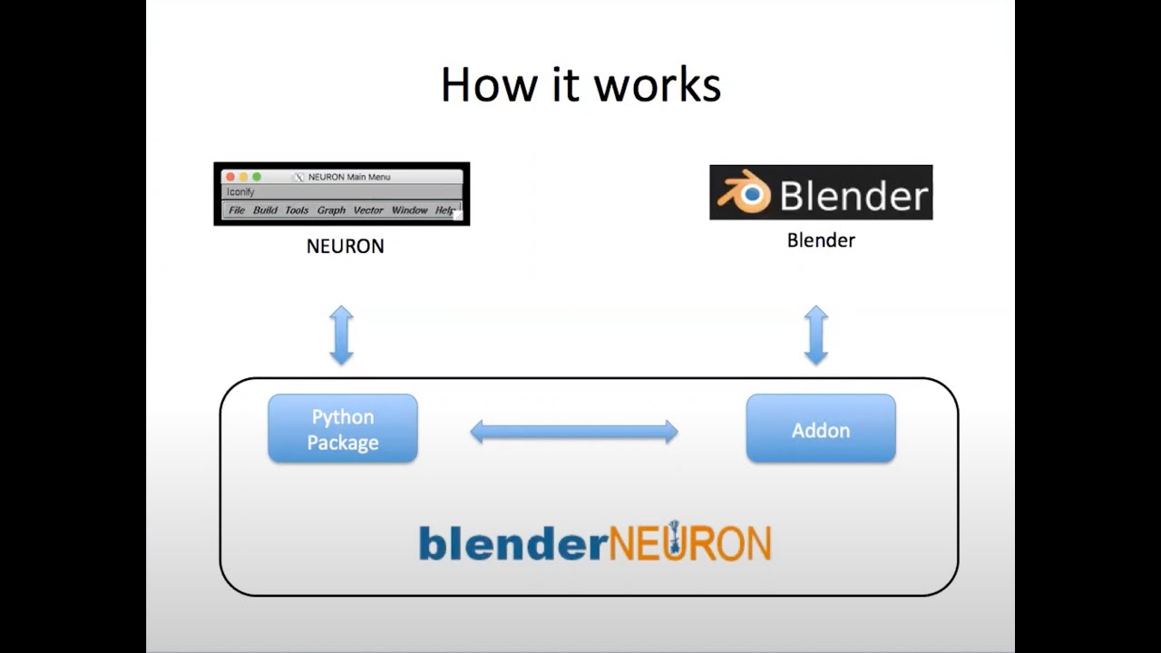 Tutorial Installing Blenderneuron Youtube