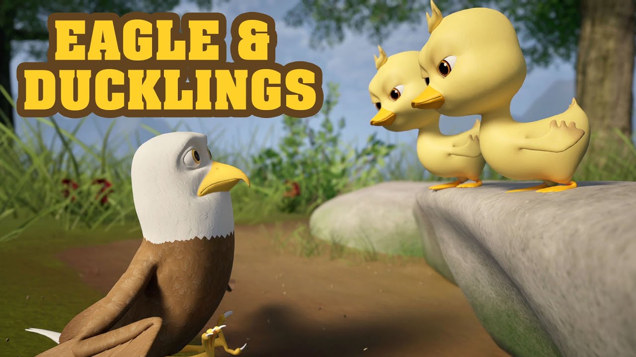 Eagle Duck Youtube