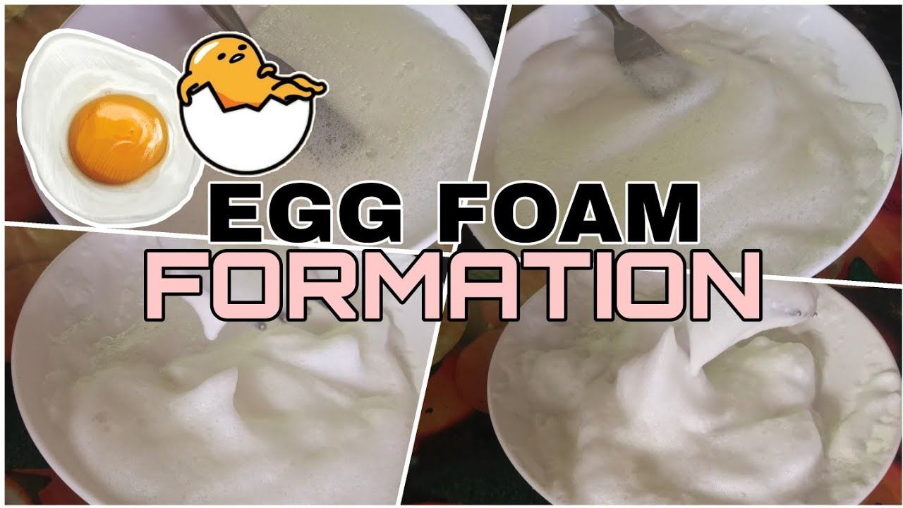 Egg Foam Formation Cookery 10 Youtube