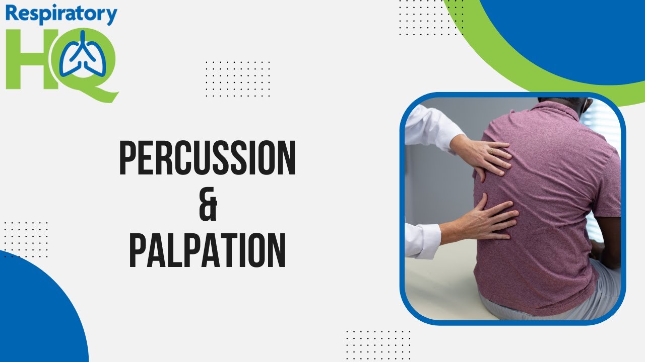 Difference Between Palpation And Percussion At Caleb Brownbill Blog