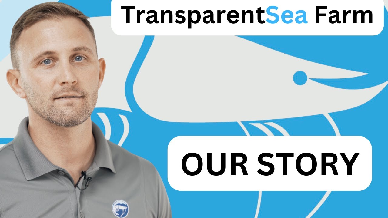 Transparentsea Farm An Introduction To Our Company Youtube