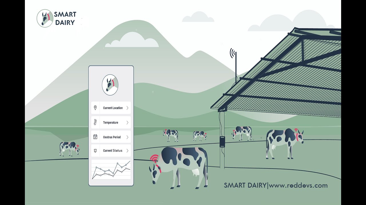 Smart Dairy Youtube