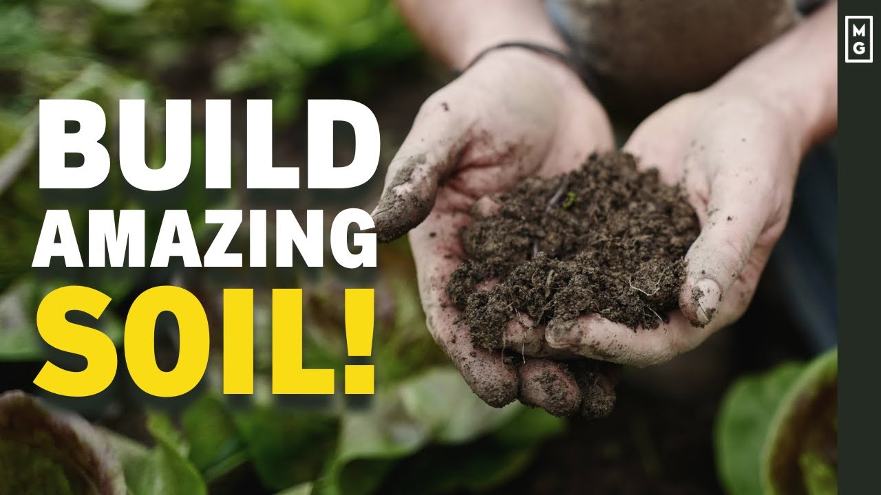How To Build Fertile Healthy Soil Raised Bed Organic Gardening Youtube