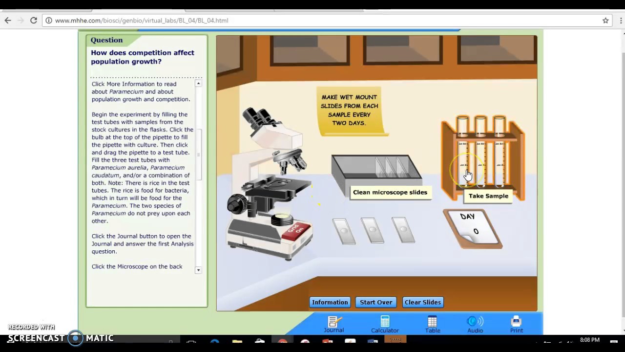 Ch 4 Paramecium Population Simulation Youtube