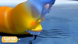 Gum Animation Compilation Larva Tuba Official Videos For Kids