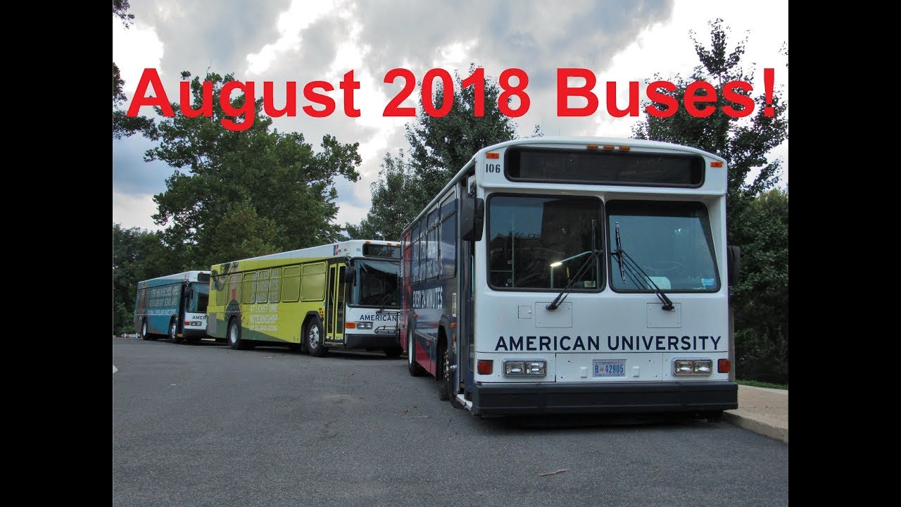 Neoplandude S6ep15 Buses Of August 2018 Part 1 Youtube