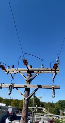 Even Lineman Need Heroes Shorts Lineman Treework Trees Arborist