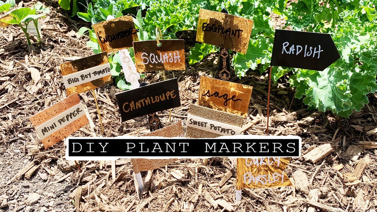 Cheap Easy Diy Vegetable Garden Plant Markers Youtube