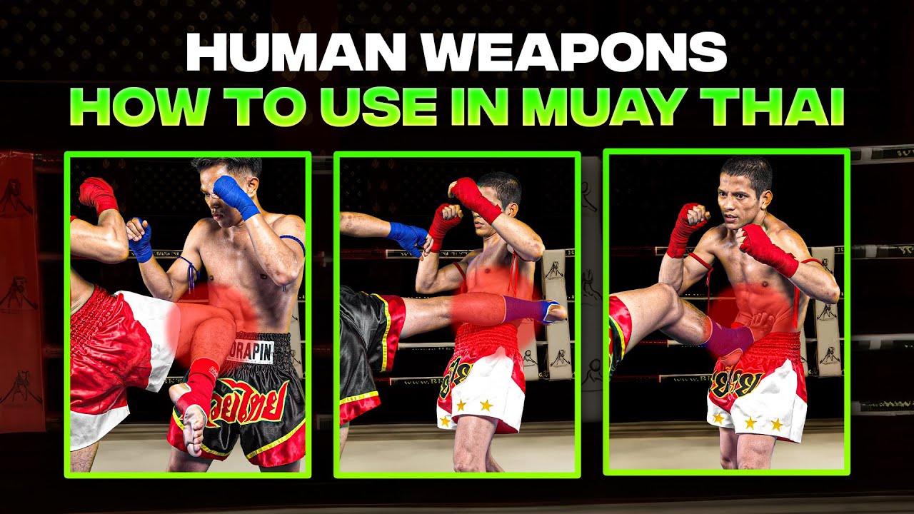 Human Weapon In Muay Thai Youtube