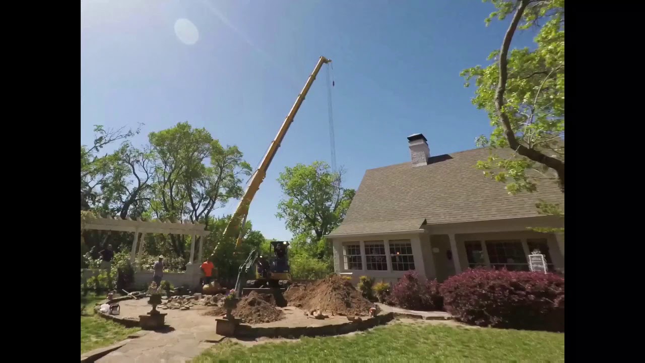 New Cedar Elm At Chandor Gardens Youtube