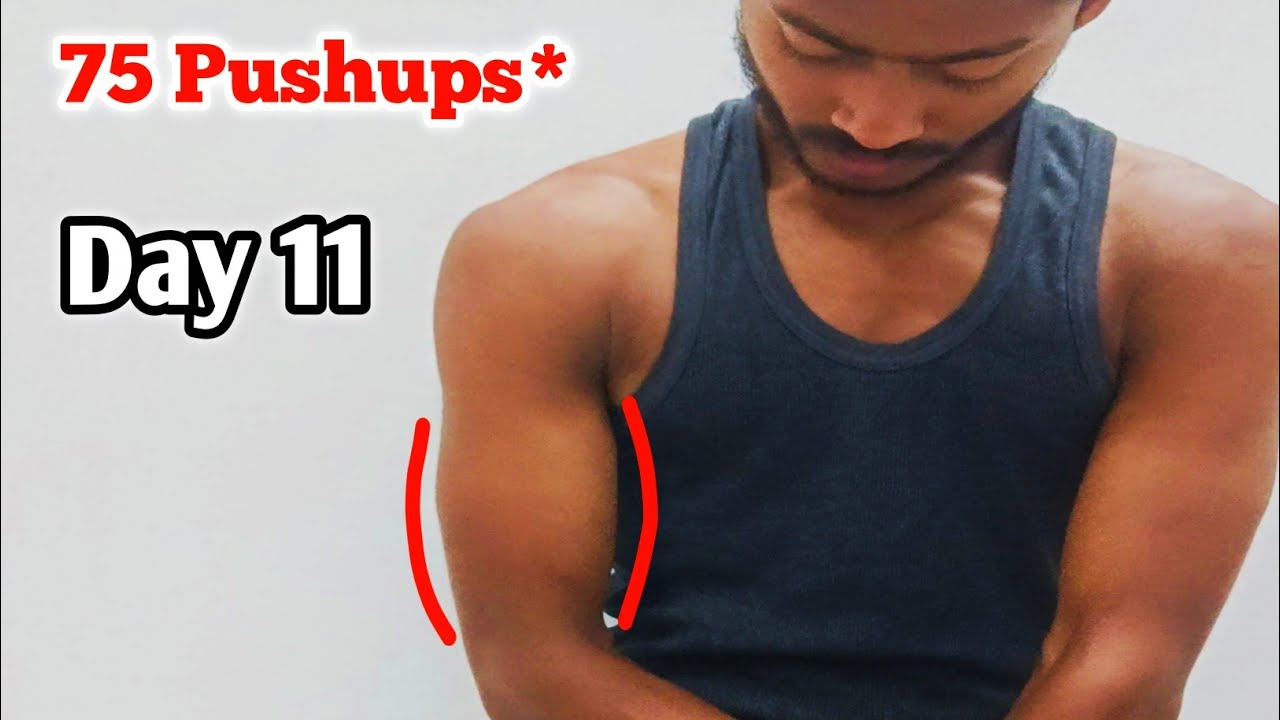 Day 11 75 Pushups Completed Everyday Pushups рџ єрџ є Youtube