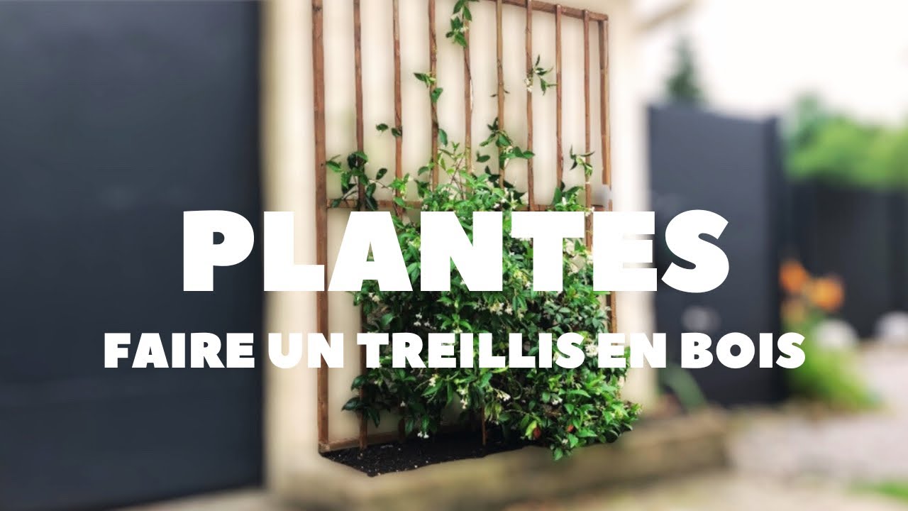 Comment Faire Un Treillis En Bois Pour Les Plantes Grimpantes Jardin