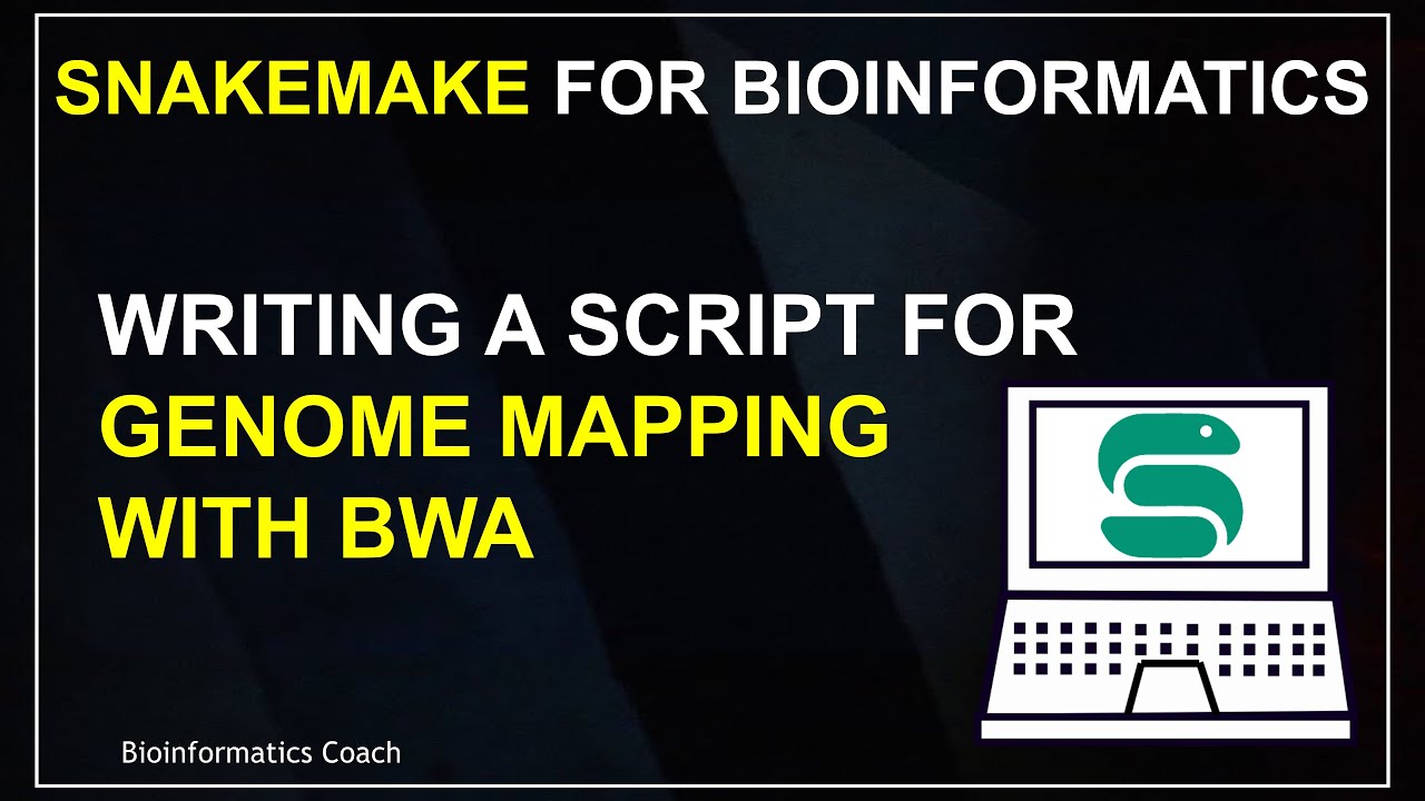 Snakemake For Bioinformatics Genome Mapping With Bwa Paired End Youtube