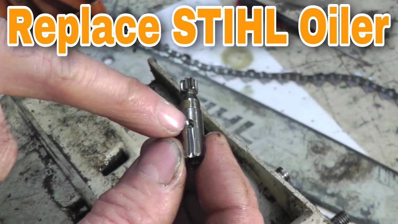 Chainsaw Oil Change At Cameron Kopsen Blog