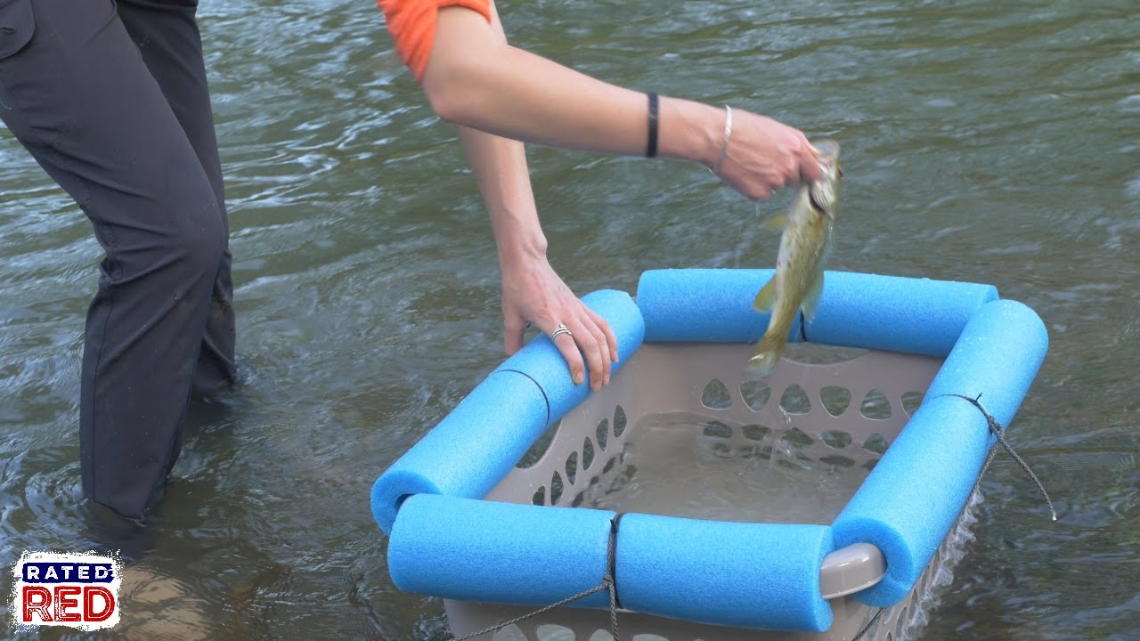 How To Make A Diy Livewell Youtube