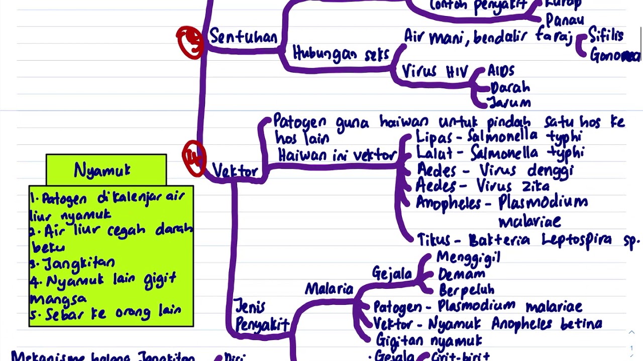 Sains Pt3 T2 Bab 4 Kesihatan Youtube