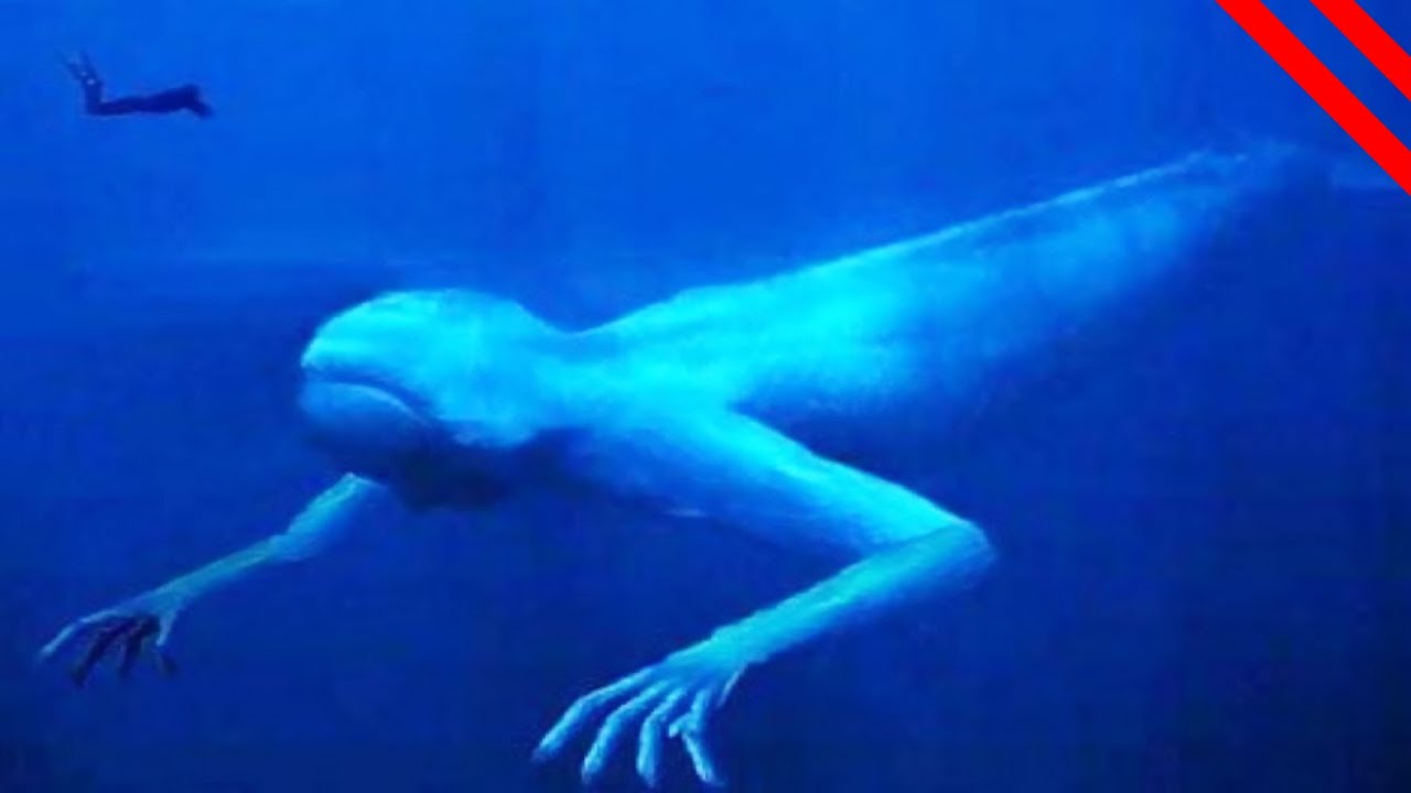 Las Criaturas Marinas Más Aterradoras Los 10 Monstruos Acuáticos