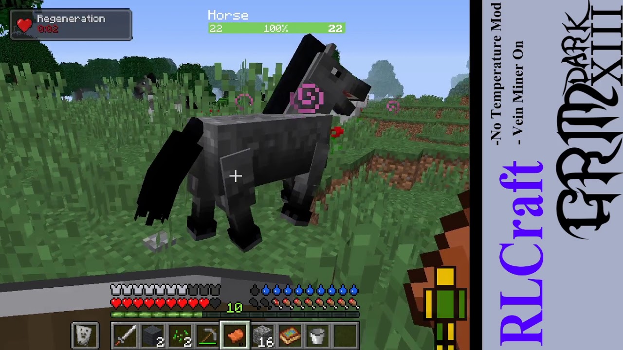 I Have Some Problems Rlcraft Part 2 Youtube
