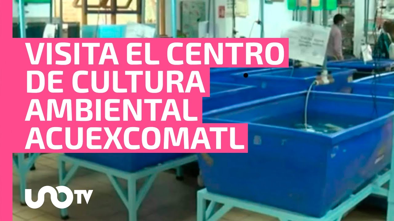 Cuida La Naturaleza Aprende En El Centro De Cultura Ambiental