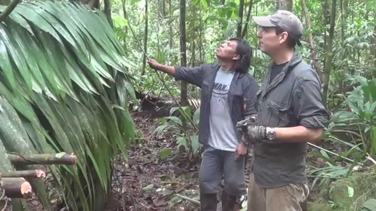 Jungle Survival Making Shelter Youtube