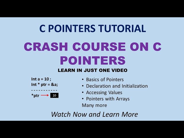 Introduction To Pointers Tutorial 20