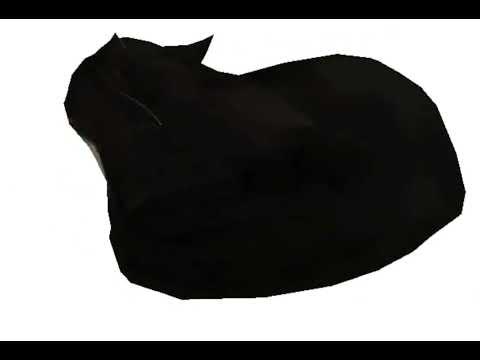 Maxwell The Cat Spinning Cat Video Gallery Know Your Meme