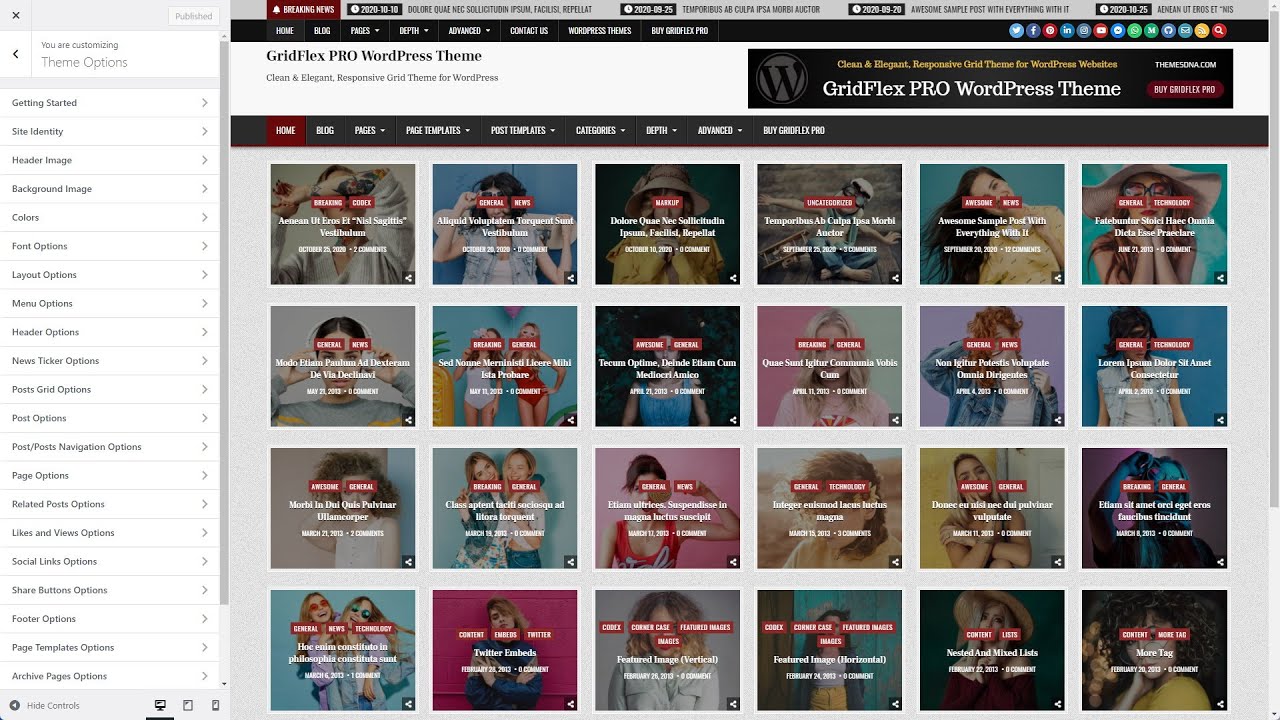 Customizer Theme Options Gridflex Pro Wordpress Theme Youtube
