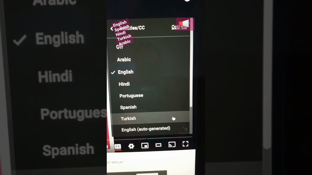 рџњђ Our Videos In Your Language Youtube