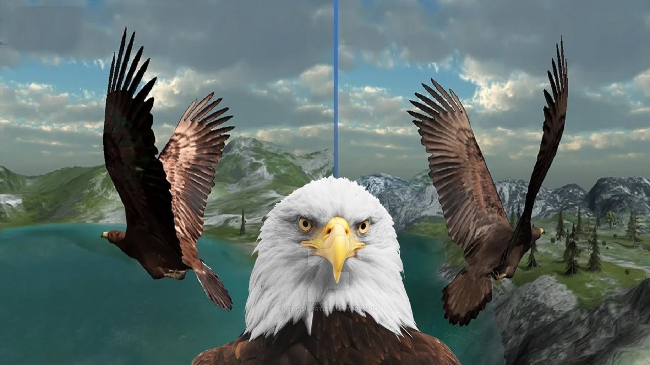Eagle Hunting Journeyвђџ Eagle Simulator Gameplay Youtube
