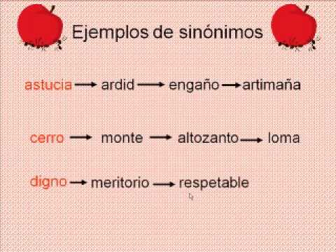 Sinonimos Antonimos Paronimos 6º Prim Y 1º Sec R Verbal Youtube