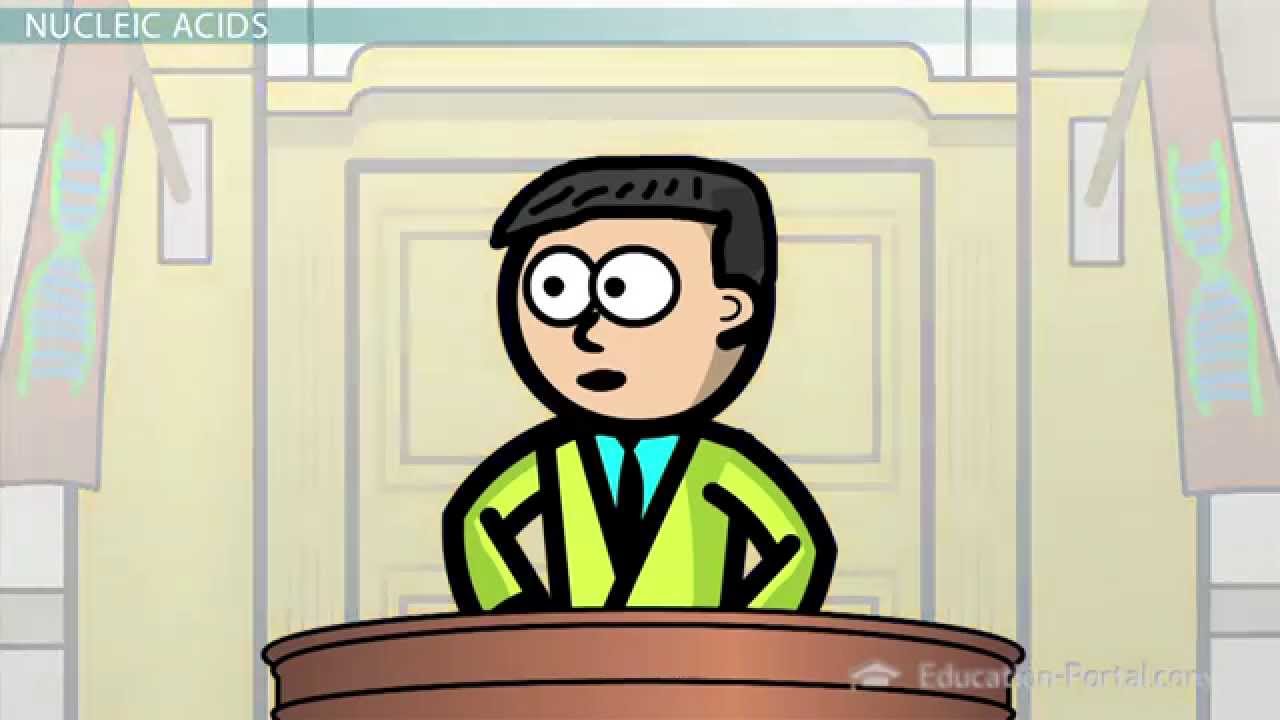 Dna Chemical Structure Of Nucleic Acids Youtube